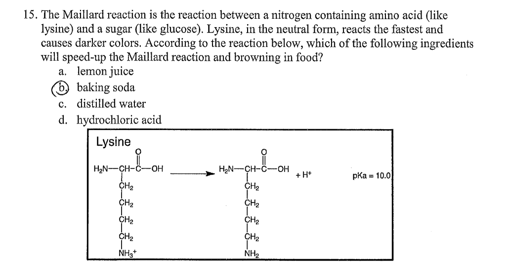 Solved 15. The Maillard reaction is the reaction between a | Chegg.com