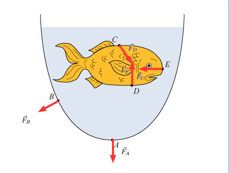 Force on a Goldfish Vector Drawing A fishbowl | Chegg.com