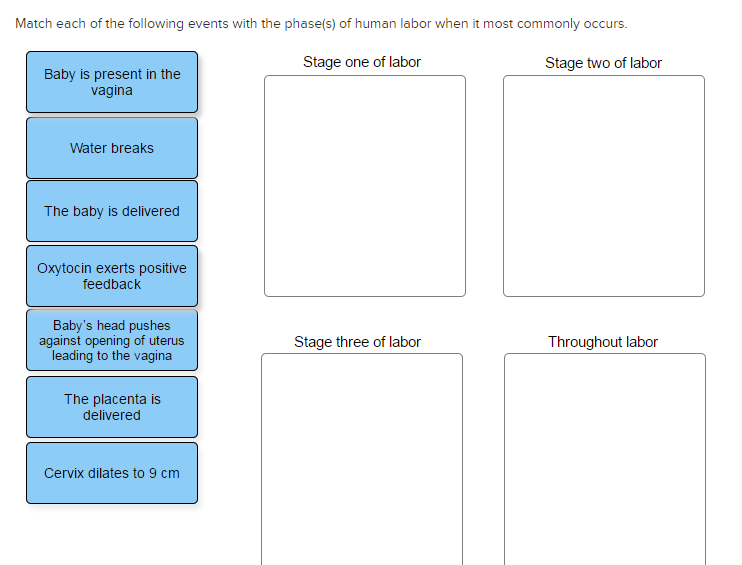 Solved Match each of the following events with the phase(s) | Chegg.com