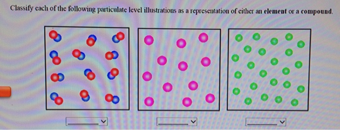 Solved Classify each of the following particulate level | Chegg.com