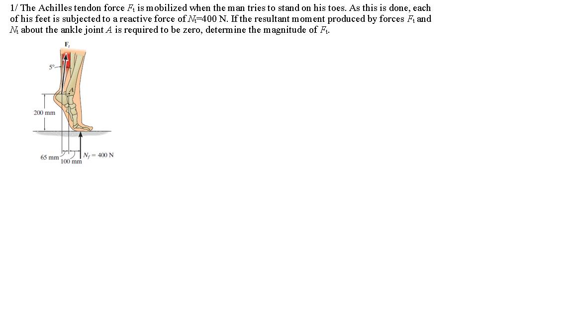 Solved The Achilles tendon force F_t is mobilized when the | Chegg.com