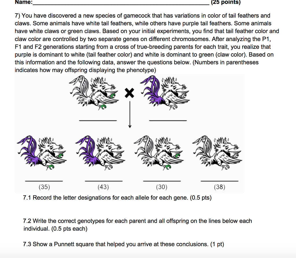 Solved Name: (25 points) 7) You have discovered a new | Chegg.com