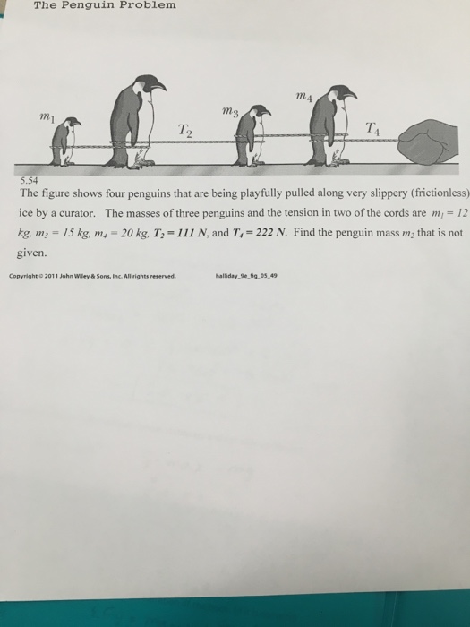 Solved The figure shows four penguins that are being | Chegg.com