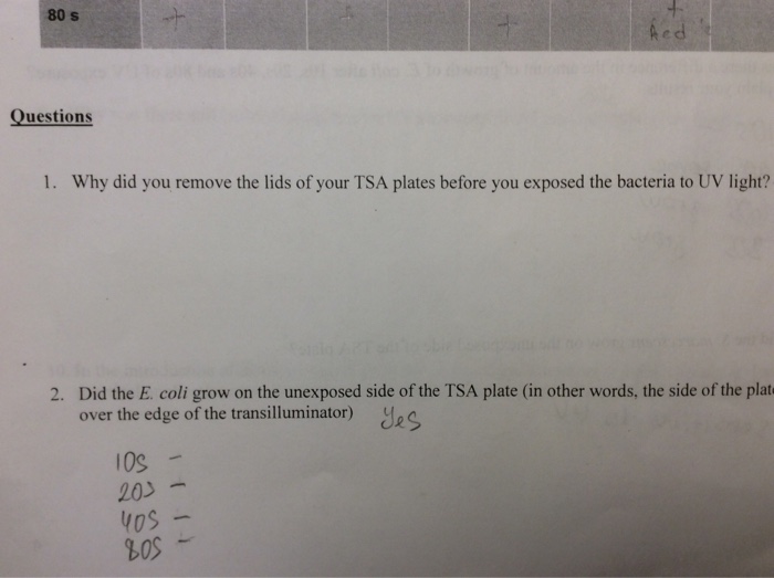 Solved Why did you remove the lids of your TSA plates before | Chegg.com
