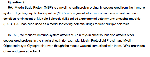 Solved Myelin Basic Protein (MBP) is a myelin sheath protein | Chegg.com