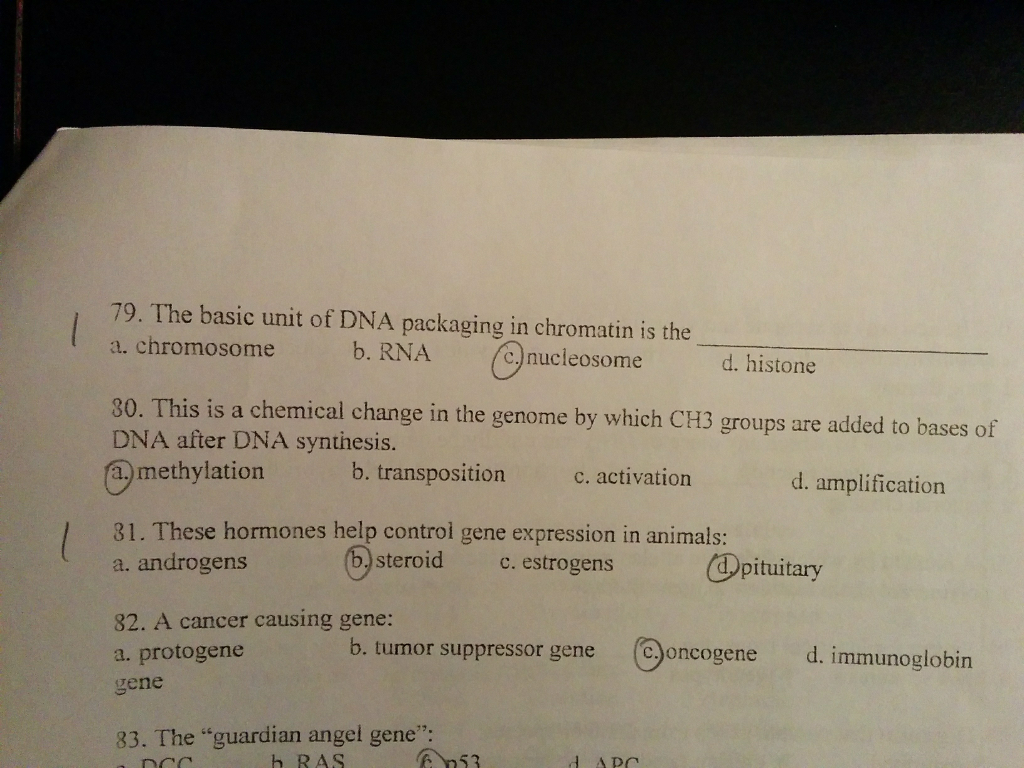 Solved 79. The basic unit of DNA packaging in chromatin is | Chegg.com
