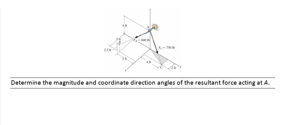 Solved Determine The Magnitude And Coordinate Direction