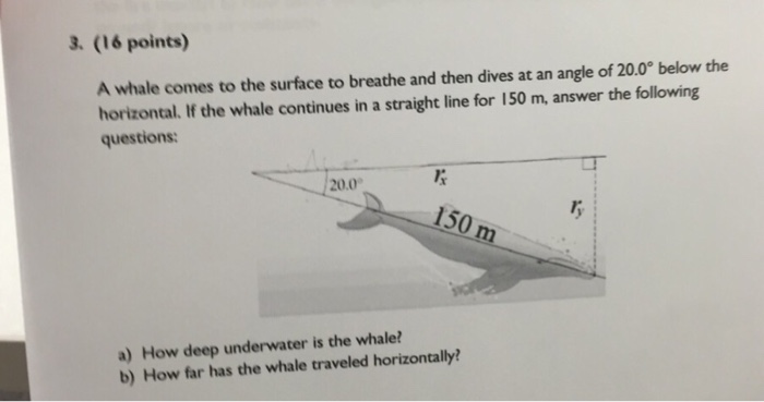 Solved 3. (16 points) A whale comes to the surface to | Chegg.com