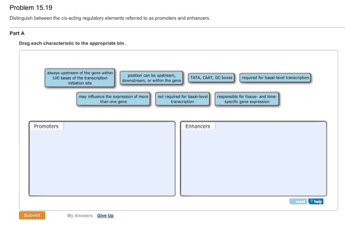Solved Genetics - Need help sorting these | Chegg.com