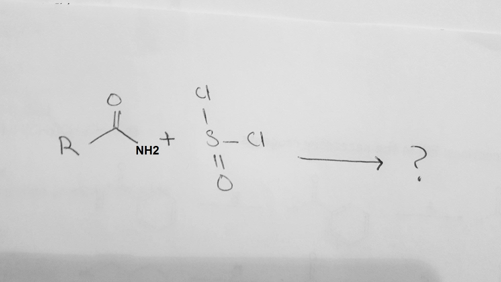 Solved Ct NH2+ S-C1 I \O 人 | Chegg.com