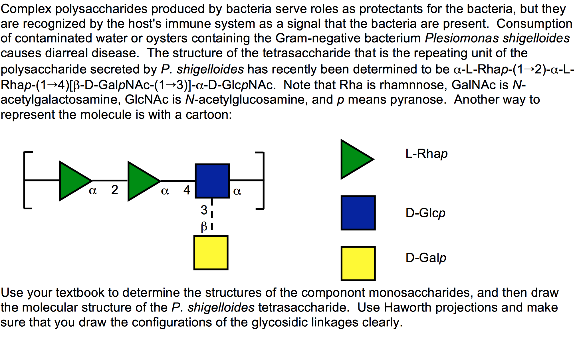Solved Complex polysaccharides produced by bacteria serve | Chegg.com