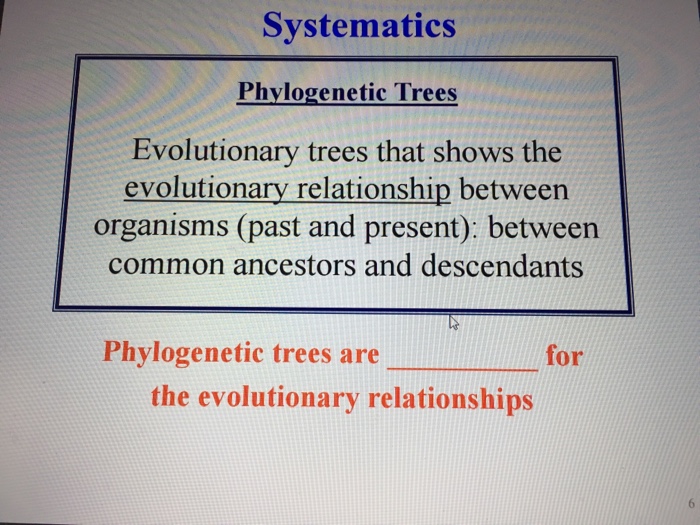 Solved Systematics Phylogenetic Trees Evolutionary trees | Chegg.com