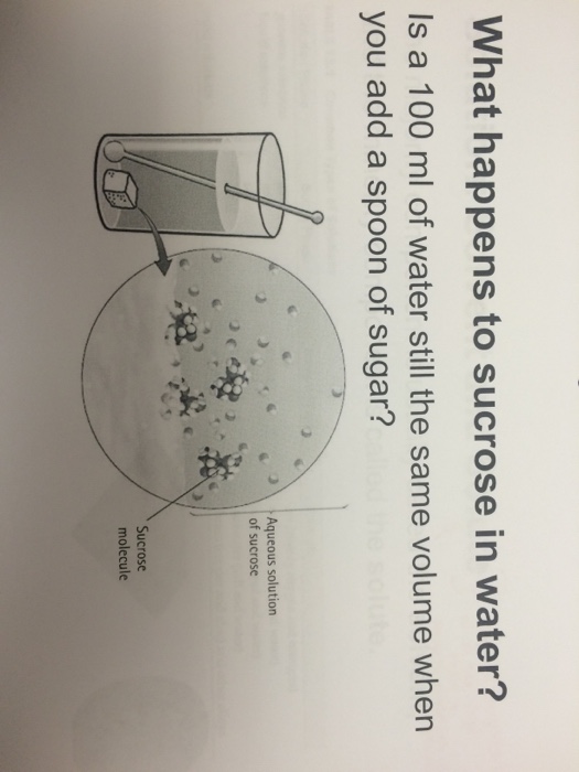 Solved What happens to sucrose in water Is a 100 ml of water | Chegg.com