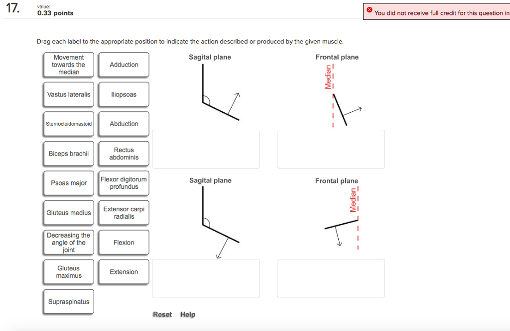 Solved Drag each label to the appropriate position to | Chegg.com