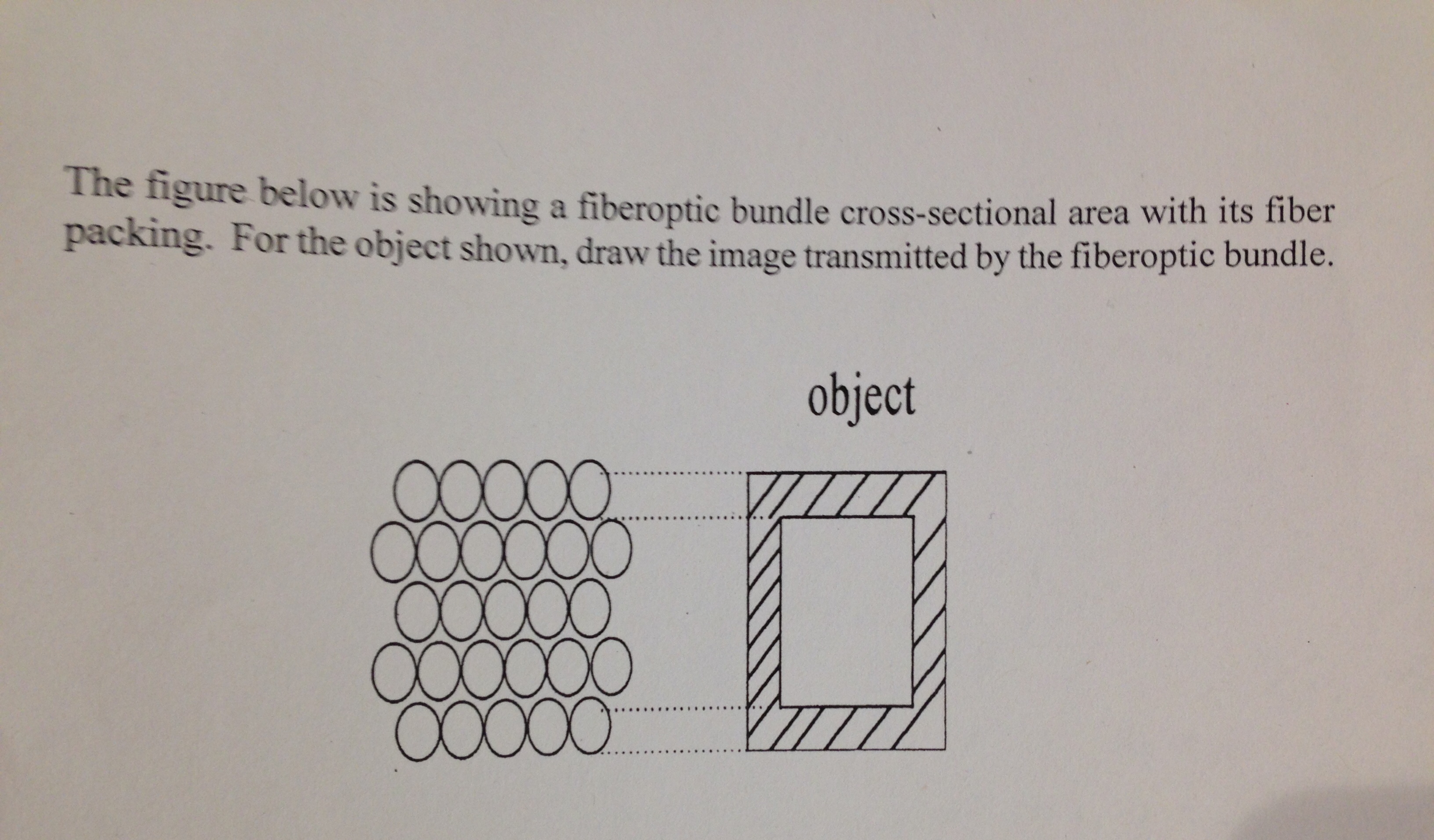 The figure below is showing a fiberoptic bundle | Chegg.com
