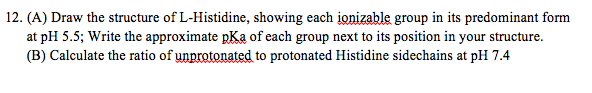 Solved 12. (A) Draw the structure of L-Histidine, showing | Chegg.com