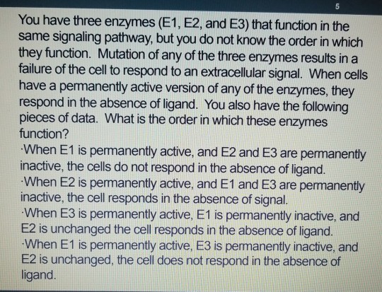 Solved You have three enzymes (E1, E2, and E3) that function | Chegg.com