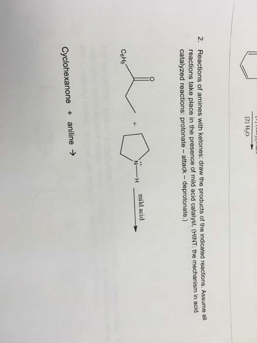 Solved Reactions of amines with ketones: draw the products | Chegg.com