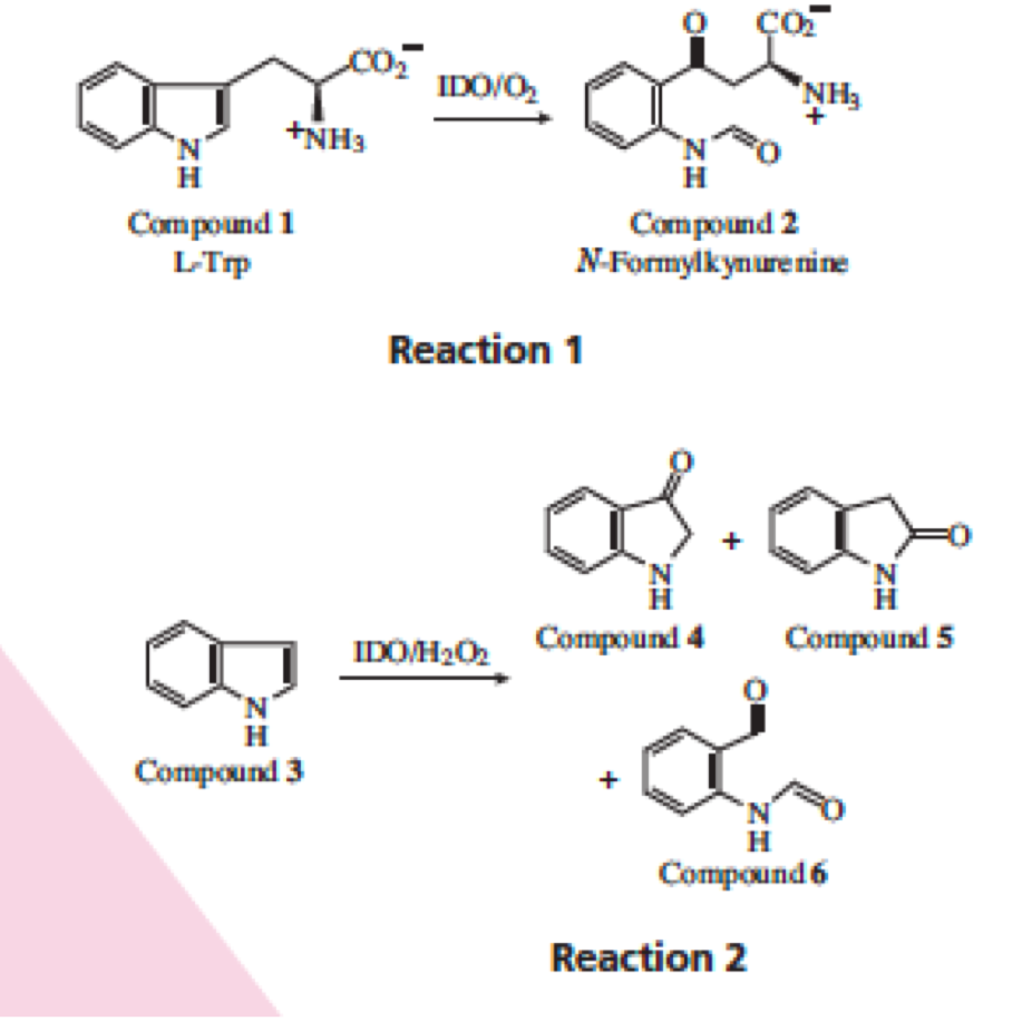 Solved The heme enzyme indolamine 2,3-dioxygenase (IDO) | Chegg.com