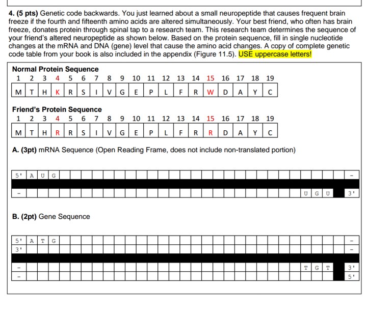 Solved 4. (5 pts) Genetic code backwards. You just learned | Chegg.com