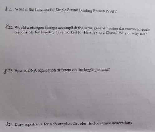 Solved What is the function for Single Strand Binding | Chegg.com