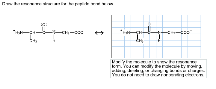 Solved Draw the resonance structure for the peptide bond | Chegg.com Solved Draw the resonance structure for the peptide bond | Chegg.com