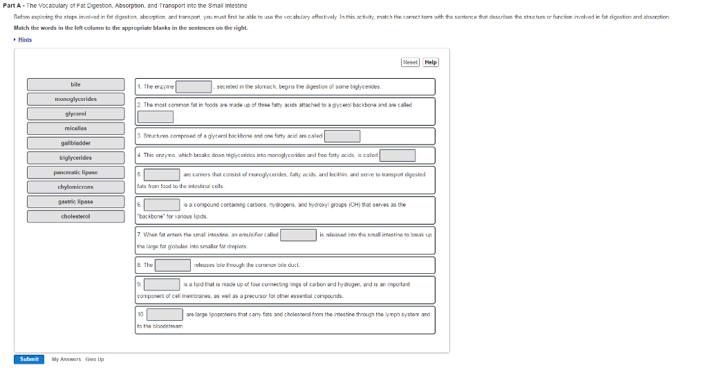 Solved Part A The Vocabulary of Fat Dgestion, Absorption, | Chegg.com