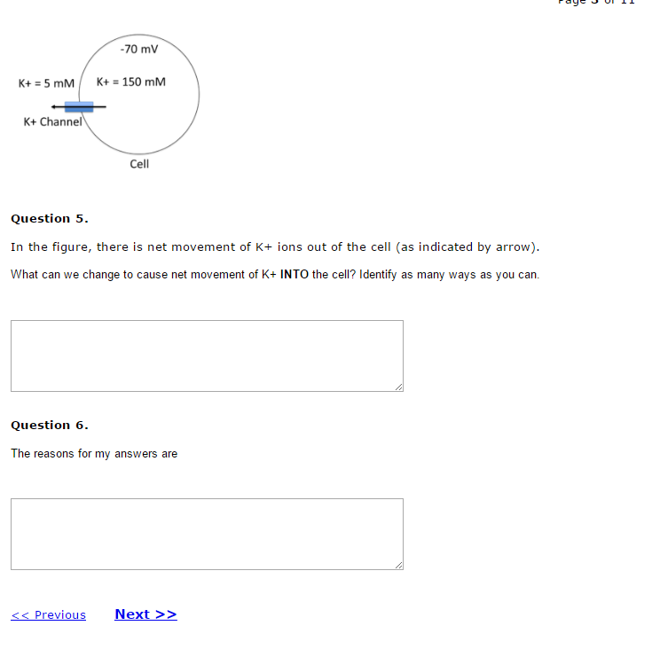 Solved -70 mV -70 ㎷ K+ = 5 mM K+ = 150 mM K+ Channel Cell | Chegg.com