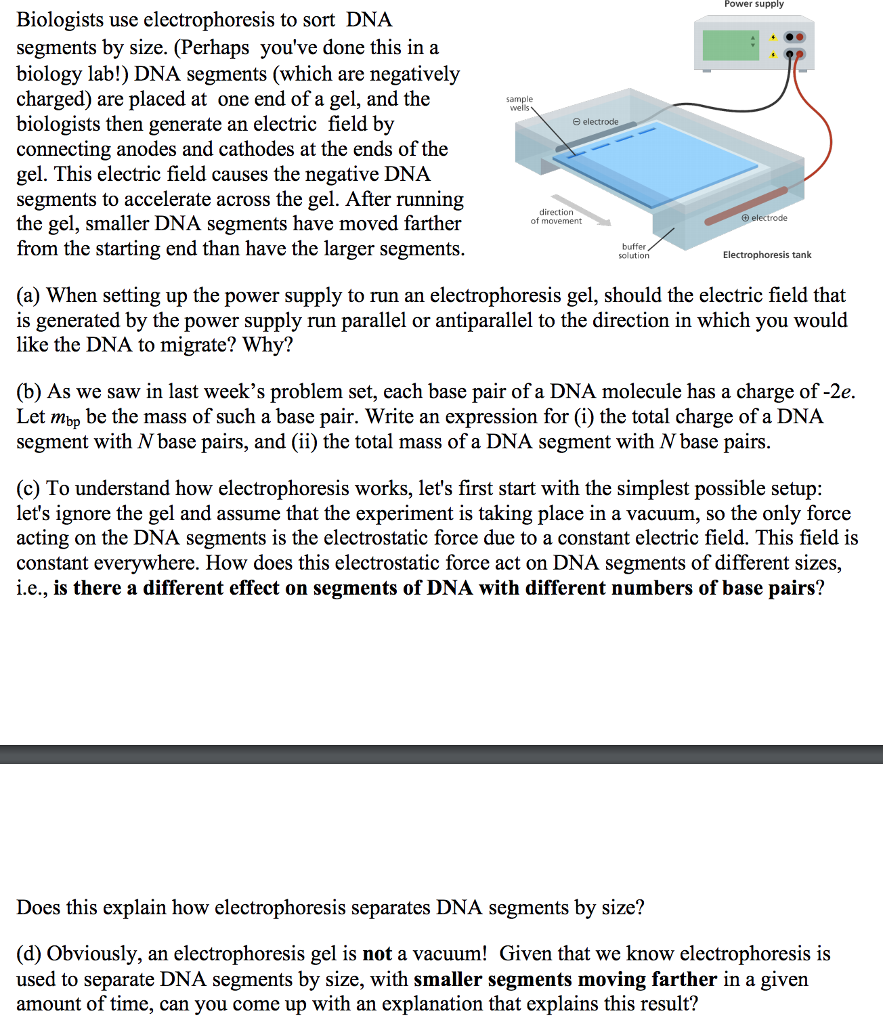 Solved Power supply Biologists use electrophoresis to sort | Chegg.com