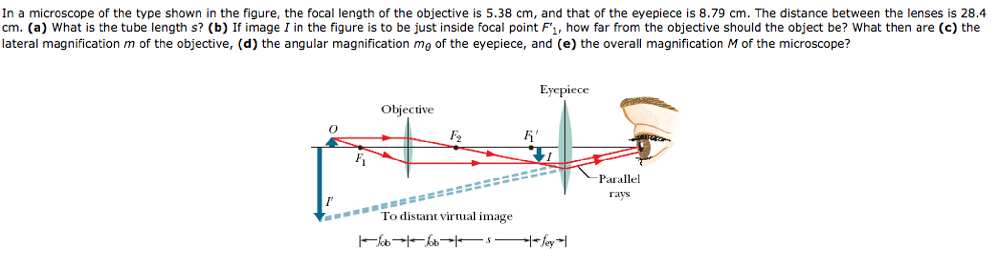 Solved In a microscope of the type shown in the figure, the | Chegg.com