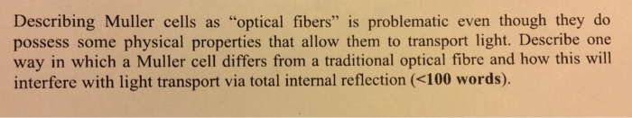 Solved Describing Muller cells as "optical fibers" is | Chegg.com