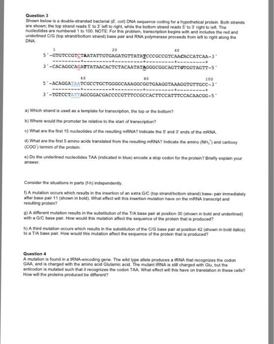 Solved Practice Problems for Molecular Biology, Session 3: | Chegg.com