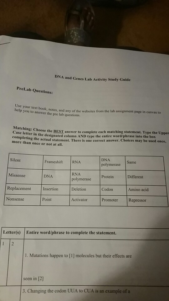 Solved DNA and Genes Lab Activity Study Guide PreLab | Chegg.com