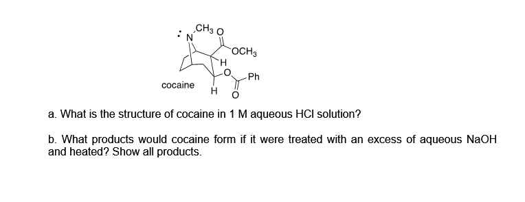 Solved CH3 OCH3 cocaine a. What is the structure of cocaine | Chegg.com