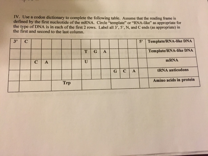 Solved Use a codon dictionary to complete the following | Chegg.com