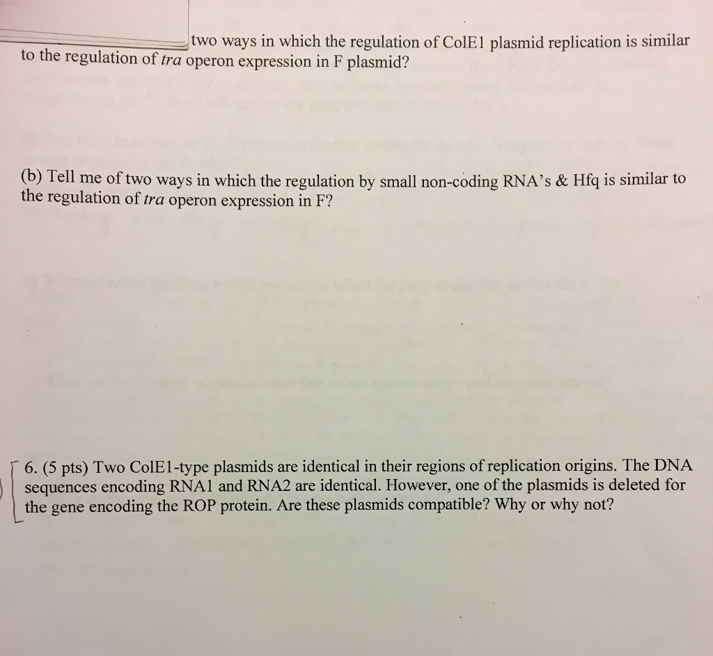 two ways in which the regulation of ColE1 plasmid | Chegg.com