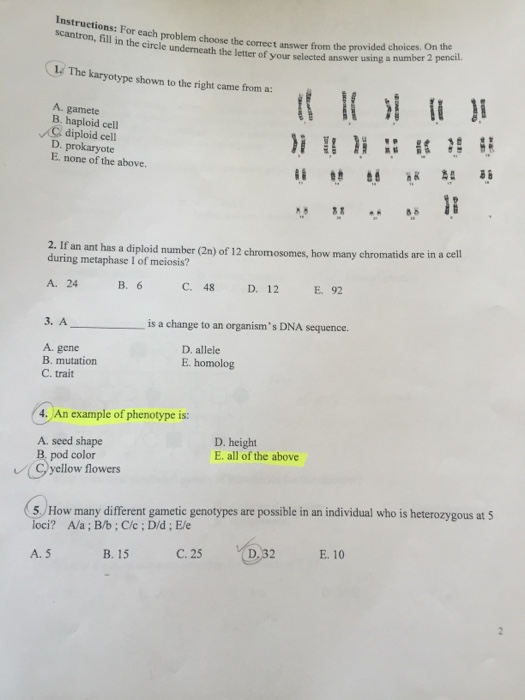 Solved Inst Instructions: For each problem choose the | Chegg.com