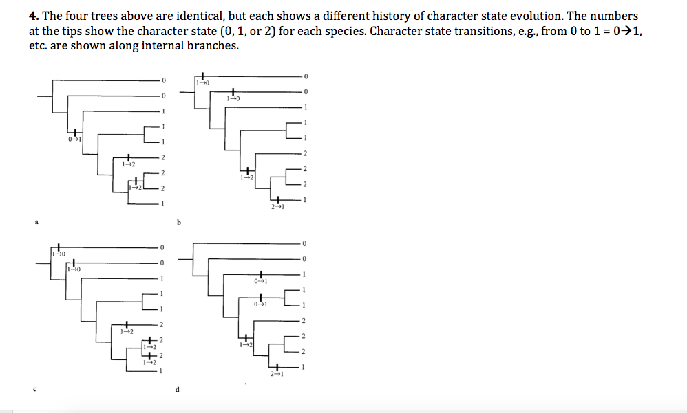 Solved 4. The four trees above are identical, but each shows | Chegg.com