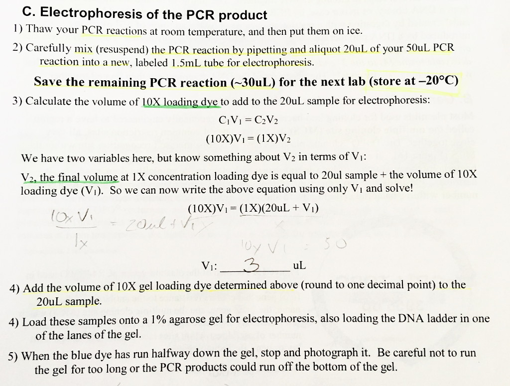 Solved Calculation of the volume of 10X loading gel to add | Chegg.com