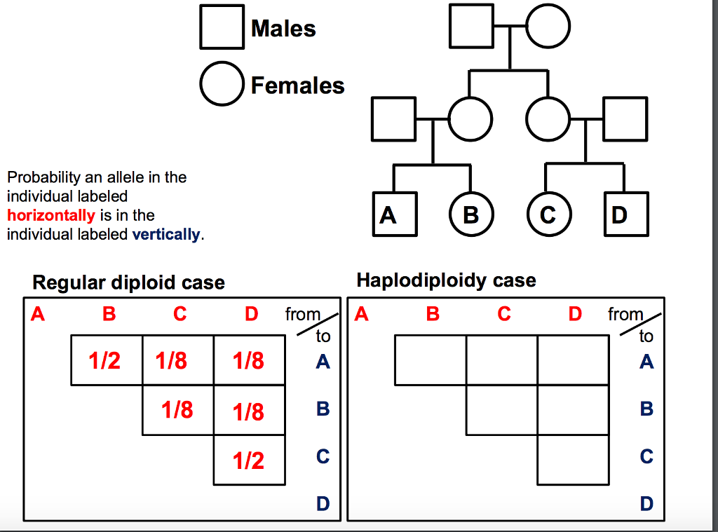 Solved Males Females Probability an allele in the individual | Chegg.com
