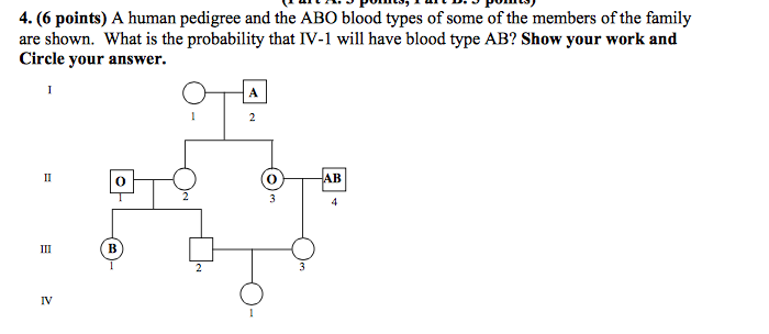 Solved A human pedigree and the ABO blood types of some of | Chegg.com
