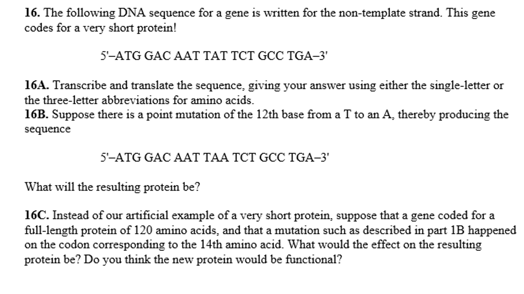 Solved The following DNA sequence for a gene is written for | Chegg.com