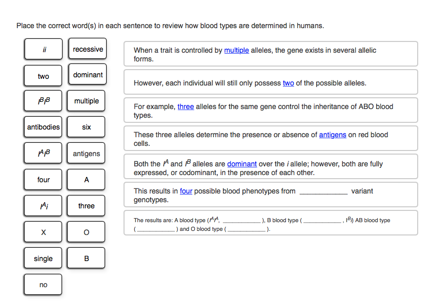 Solved Place the correct word(s) in each sentence to review | Chegg.com