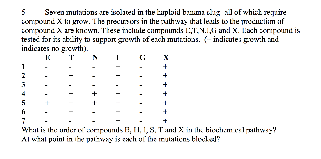 Solved Seven Mutations Are Isolated In The Haploid Banana