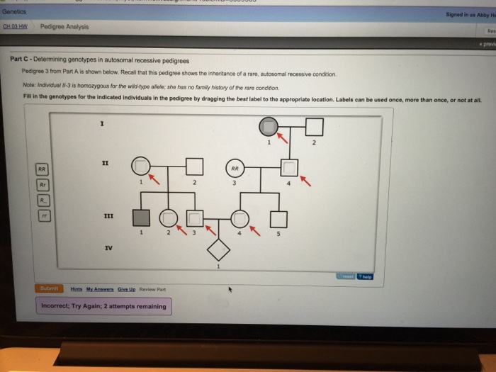 Solved Determining genotypes in autosomal recessive | Chegg.com Solved Determining genotypes in autosomal recessive | Chegg.com