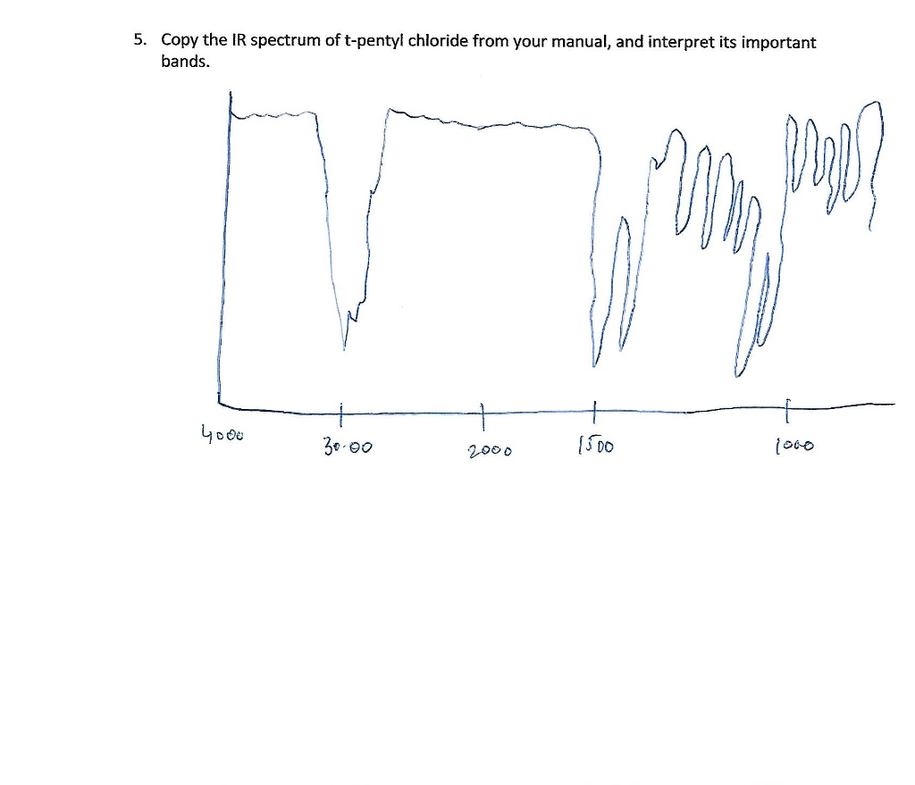 Solved Copy the IR spectrum of t-pentyl chloride from your | Chegg.com