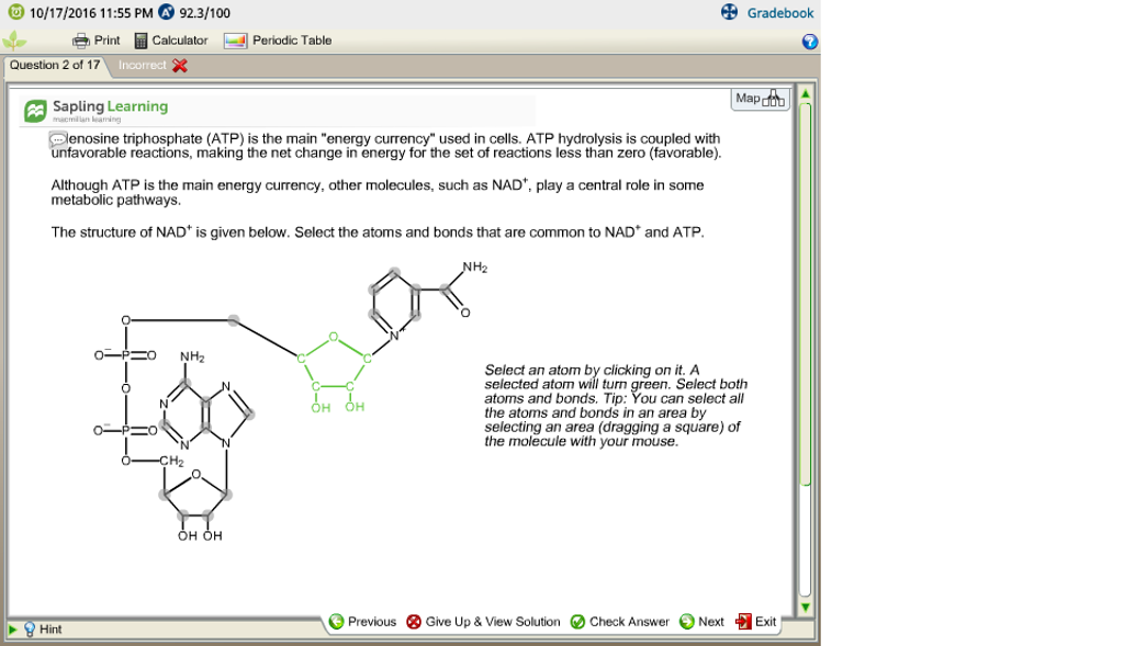 Solved Adenosine triphosphate (ATP) is the main \"energy | Chegg.com