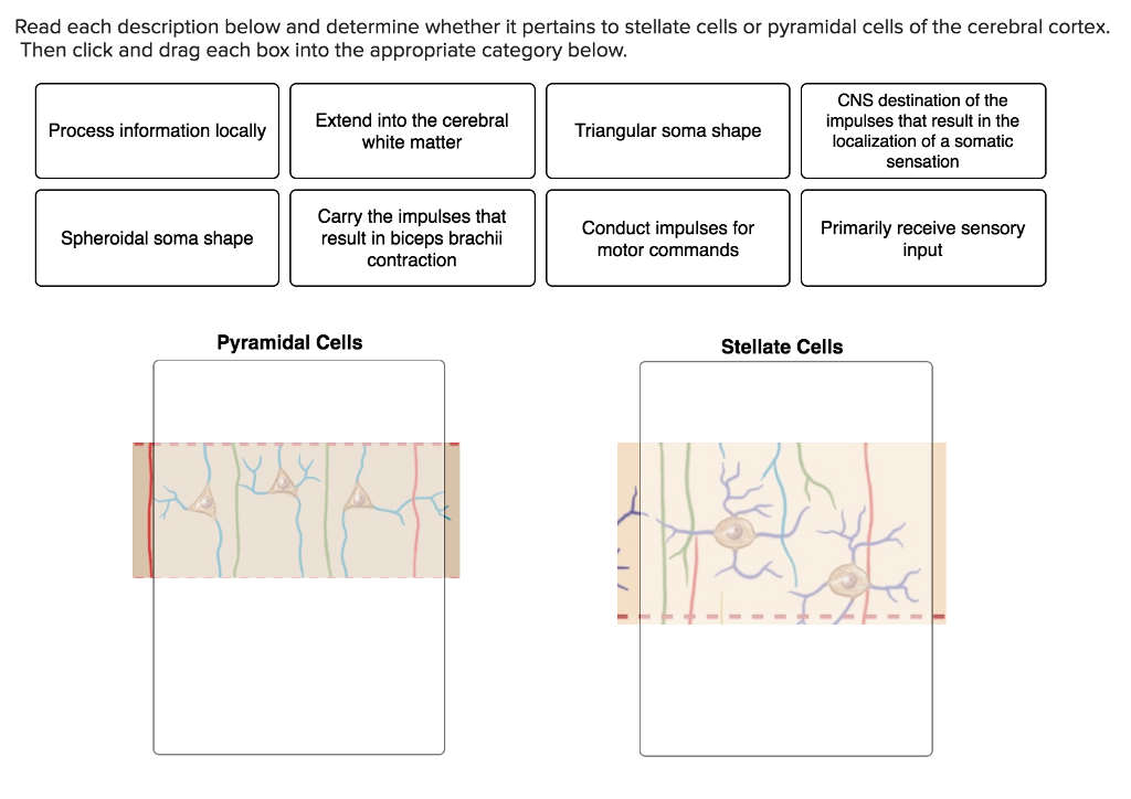 Solved Read each description below and determine whether it | Chegg.com