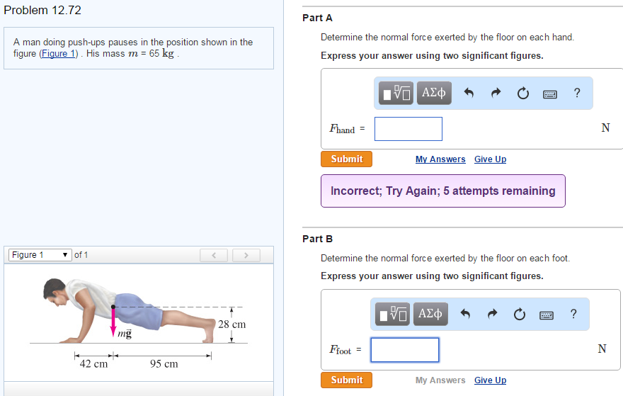 Solved A man doing push-ups pauses in the position shown in | Chegg.com