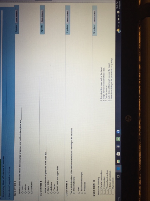 Solved Smallest blood vessels when the exchange of gasses | Chegg.com